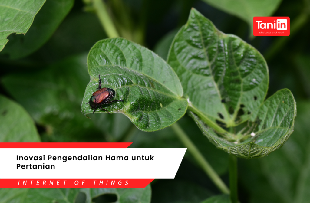 Inovasi Pengendalian Hama untuk Pertanian