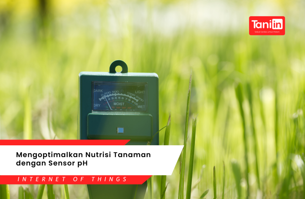 Mengoptimalkan Nutrisi Tanaman dengan Sensor pH