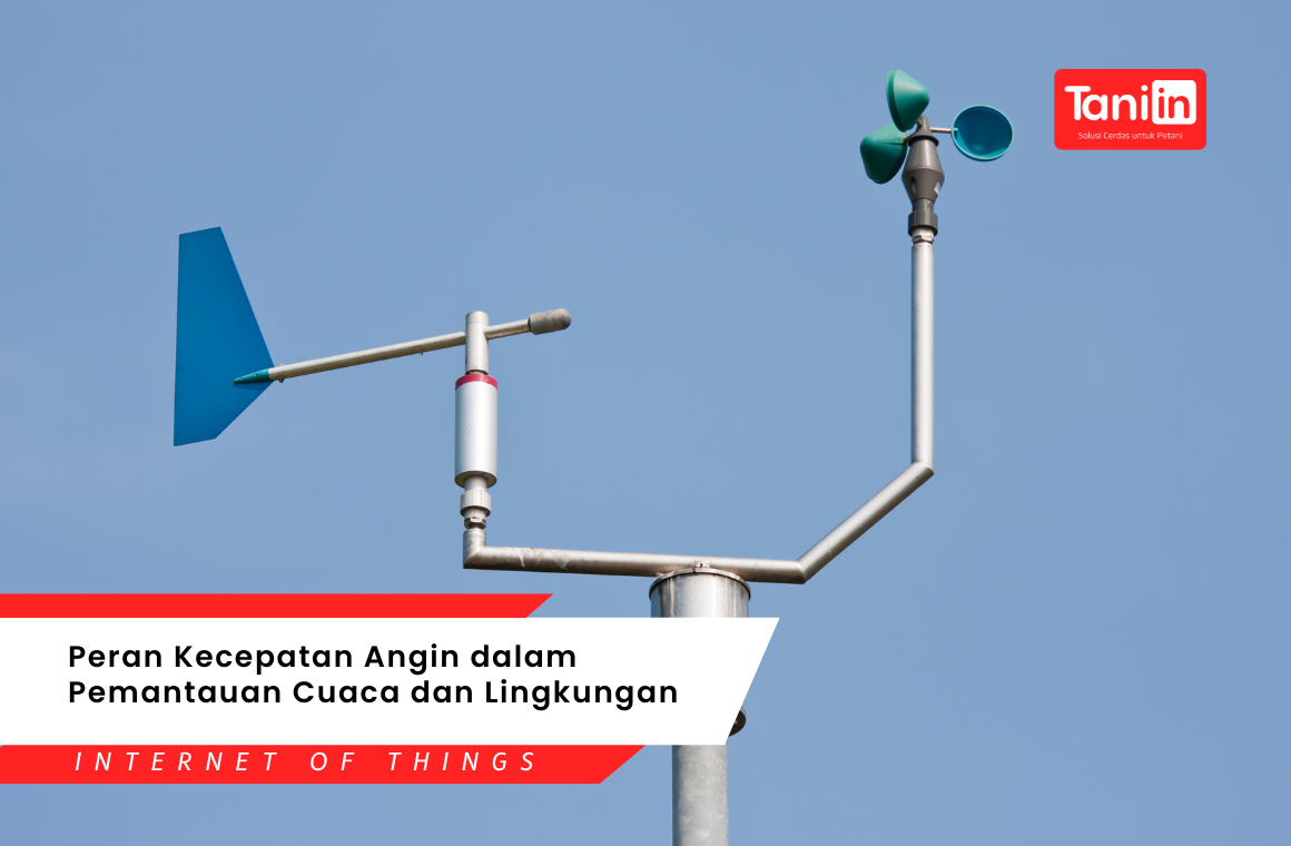 Peran Kecepatan Angin dalam Pemantauan Cuaca dan Lingkungan