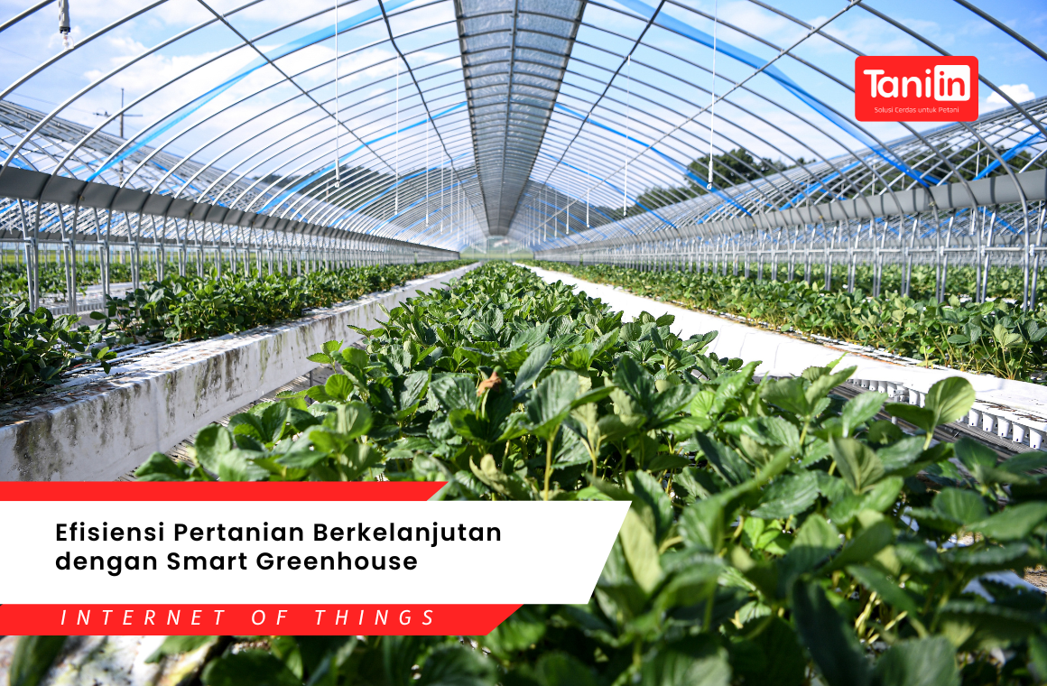 Efisiensi Pertanian Berkelanjutan dengan Smart Greenhouse