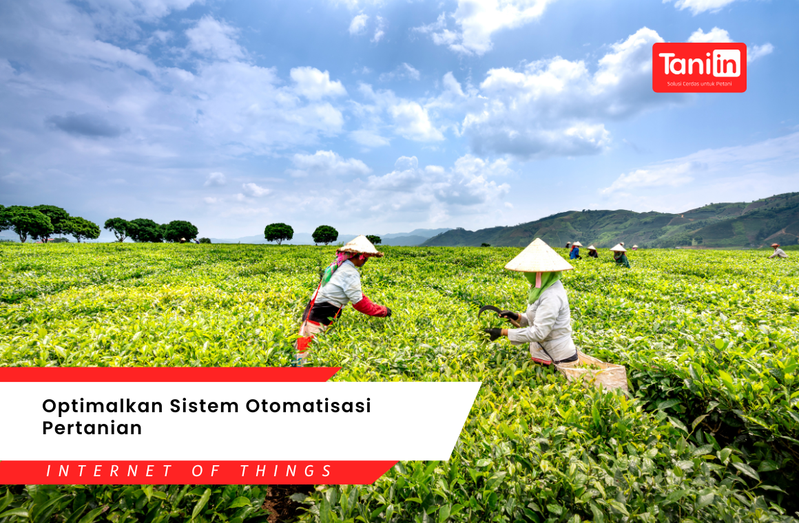 Optimalkan Sistem Otomatisasi Pertanian