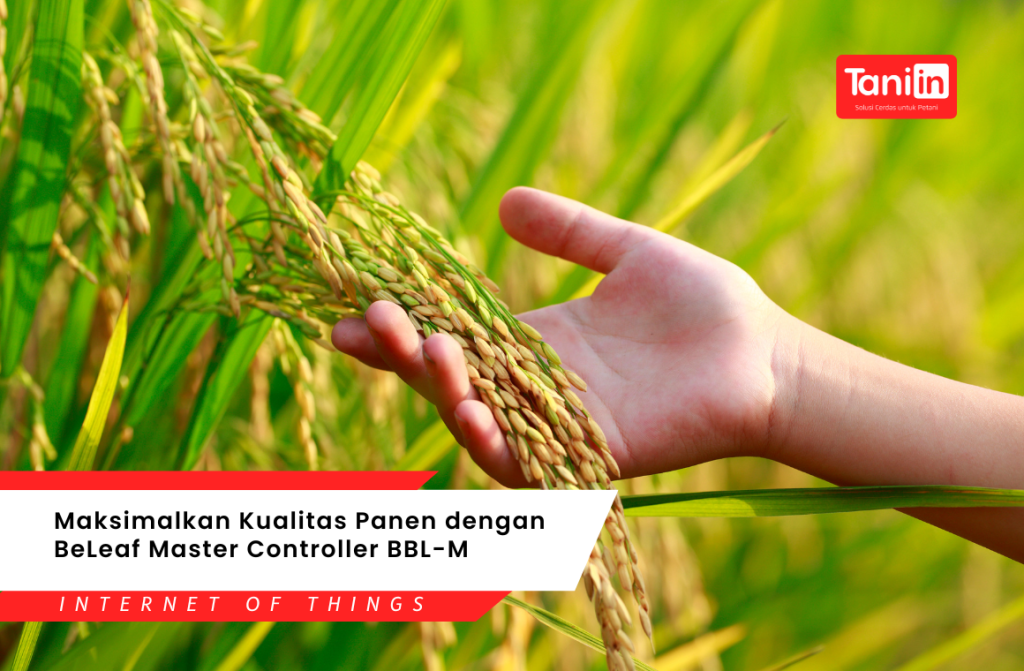 Maksimalkan Kualitas Panen